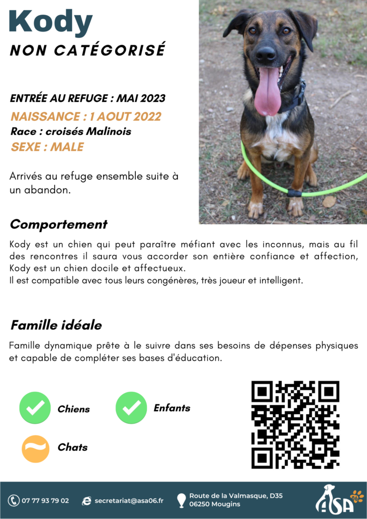 Kody - Au Service des Animaux 06