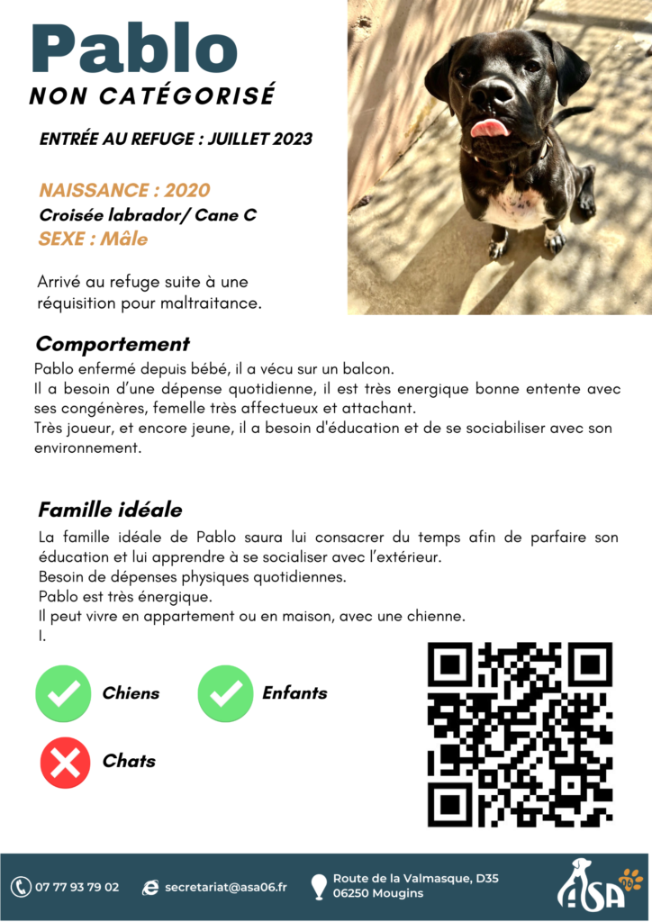 Pablo - Au Service des Animaux 06